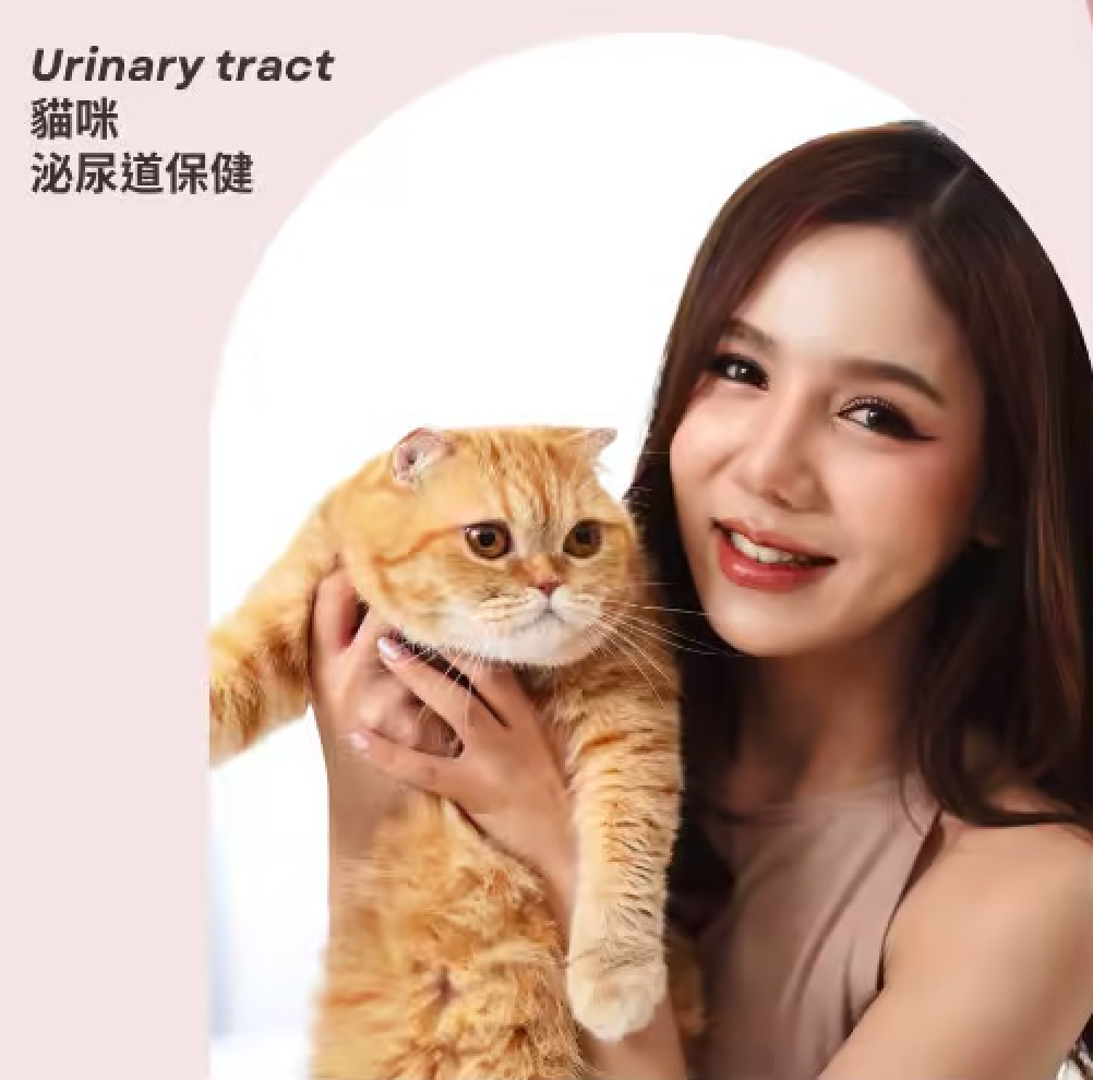 Recommendations from pet owners – PHP寵物營養保健品