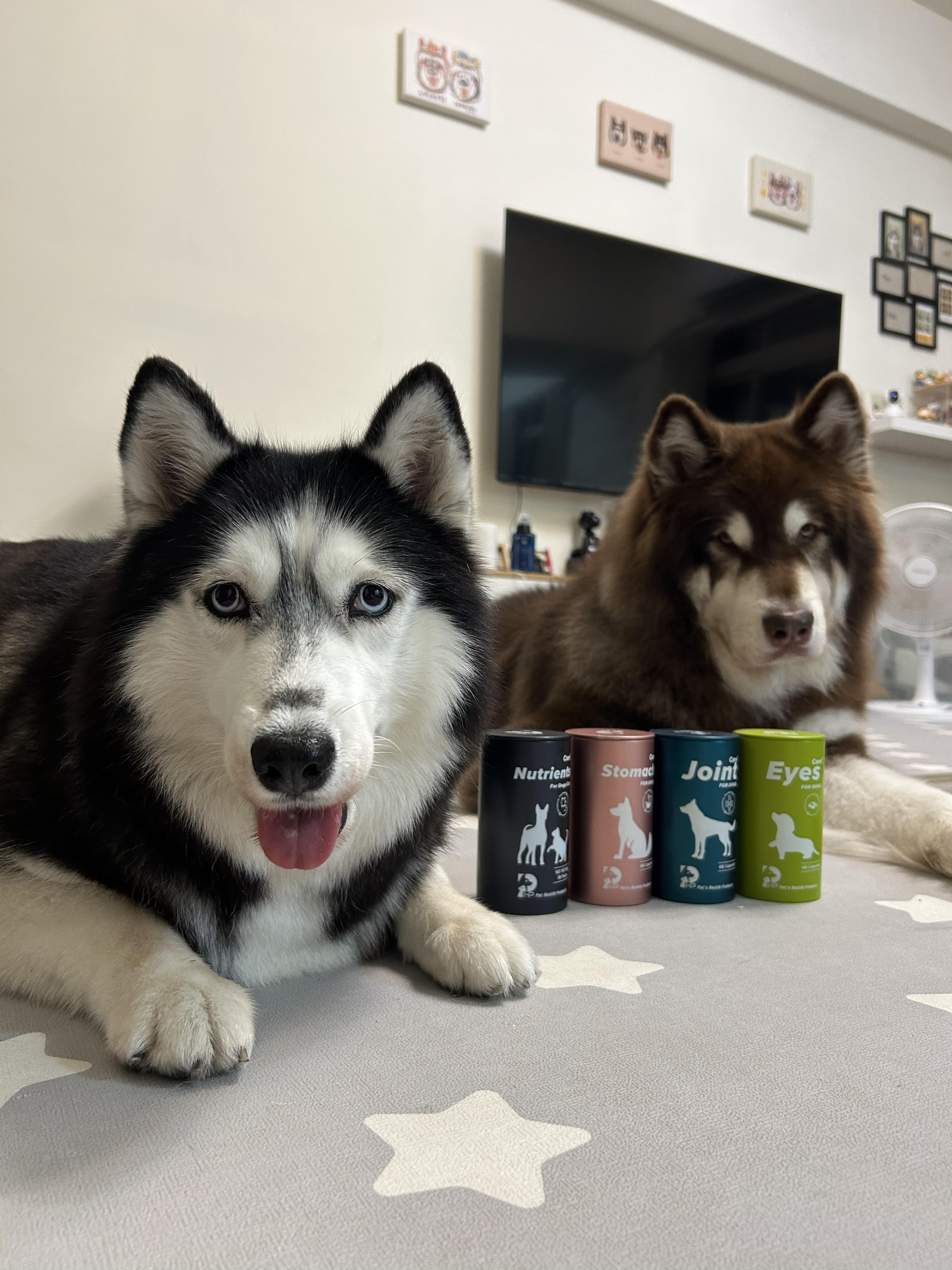 naruto_lavante(dog) – PHP寵物營養保健品